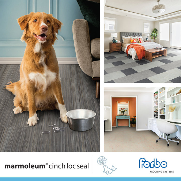 Forbo Marmoleum Cinch Loc Seal 11.81” x 11.81” x 9.9mm Laminate ...