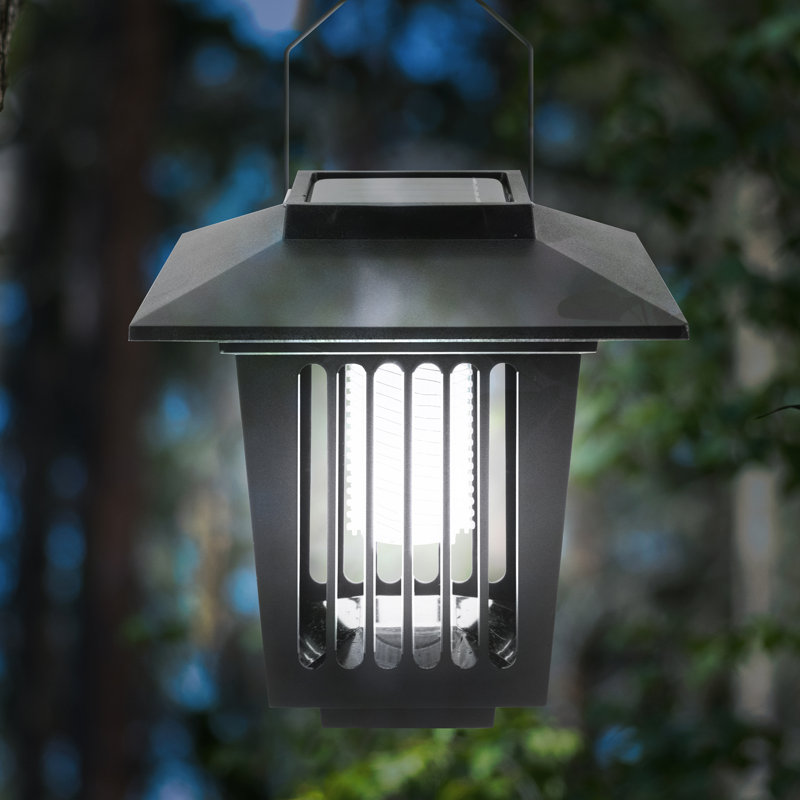 Eternal Solar Powered Integrated LED Outdoor Lantern | Wayfair