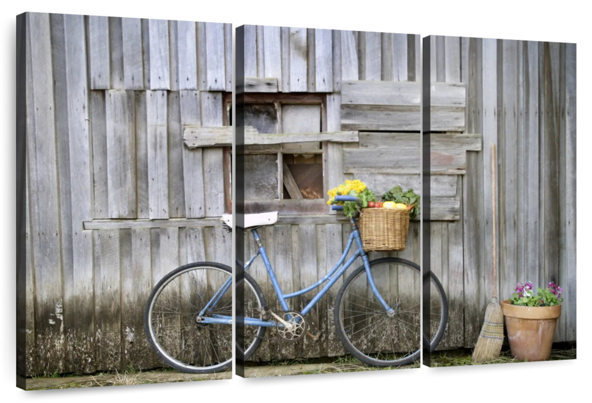 Ebern Designs Mehar Barnyard Blue Bike - Wayfair Canada