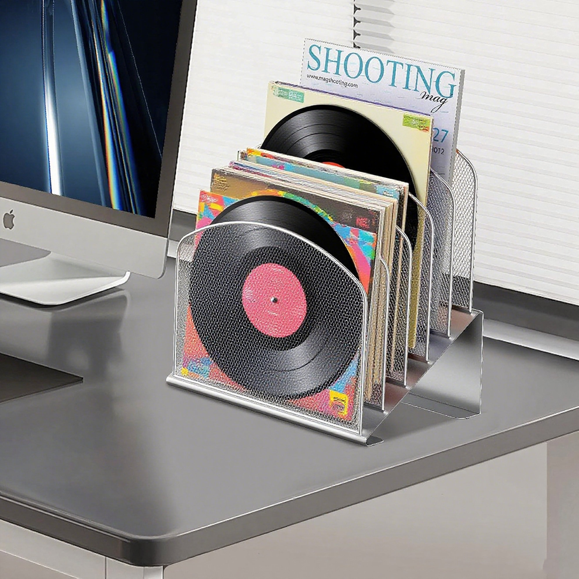 Wrought Studio™ Inclined Vinyl Storage Organizer Rack, 5-Section ...