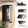 Trent Austin Design® Jarrow Wrought Iron and Glass Outdoor Wall Light ...