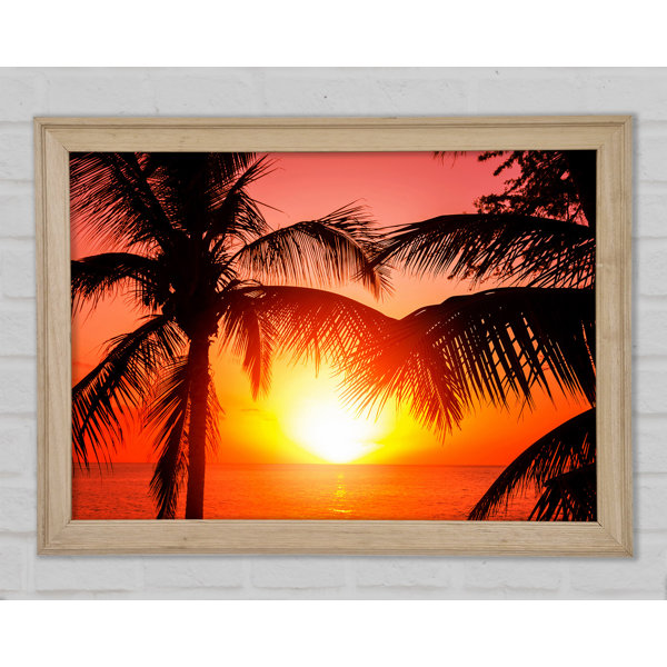 Bay Isle Home Sun Between The Palm Trees Framed Print | Wayfair.co.uk