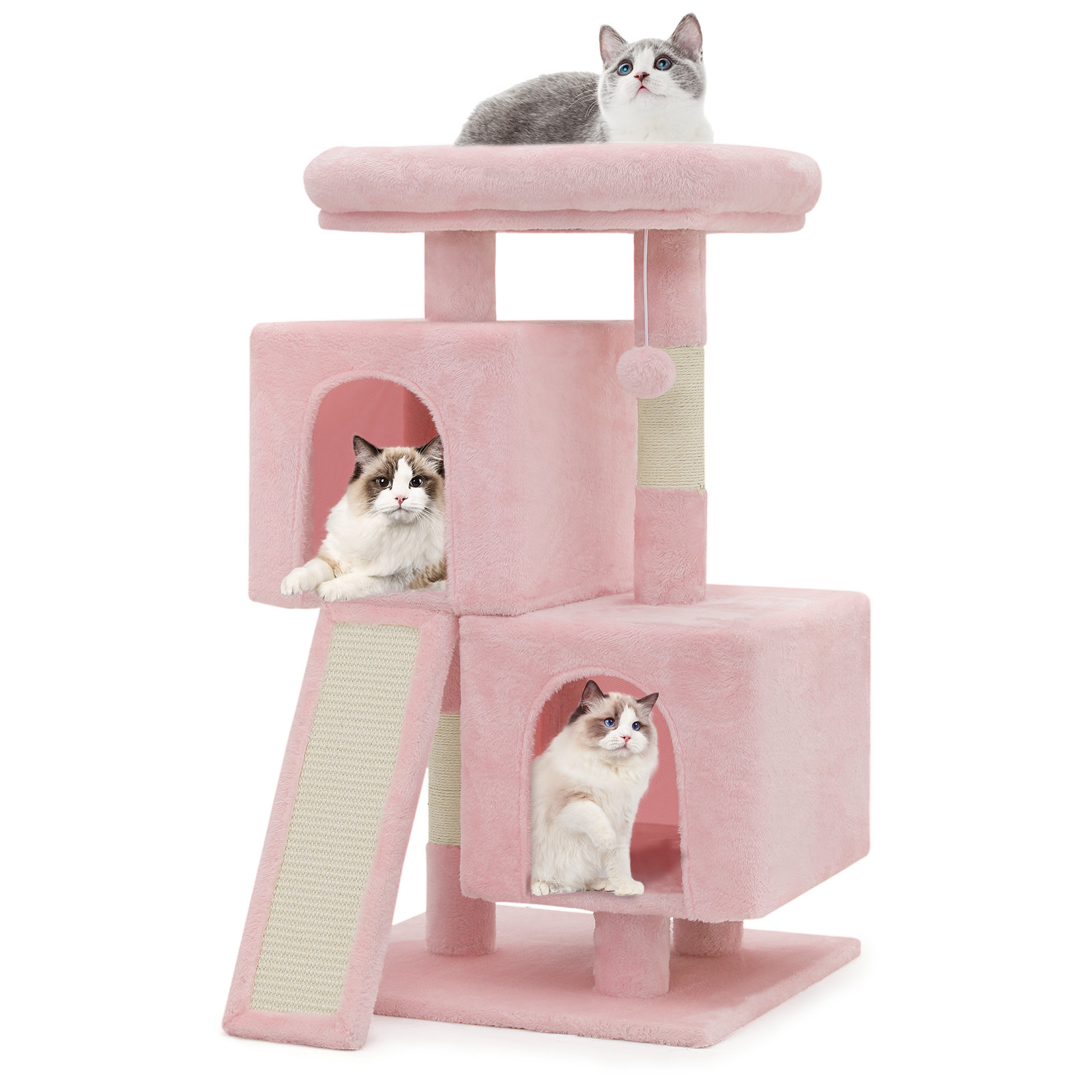Tucker Murphy Pet™ Duan Cat Tree Kitten Tower Condo with Scratching ...
