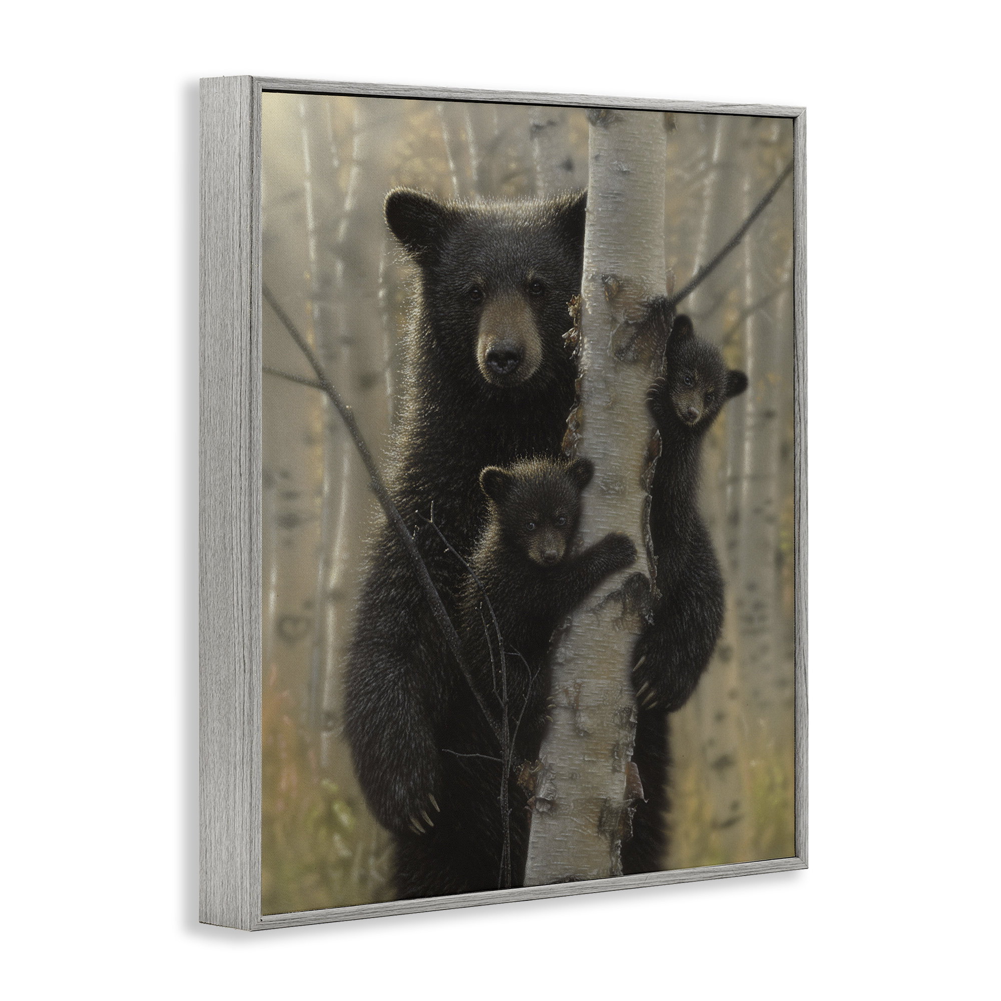 Charlton Home® Mama Bear Behind Tree Framed Giclee, design by Collin ...