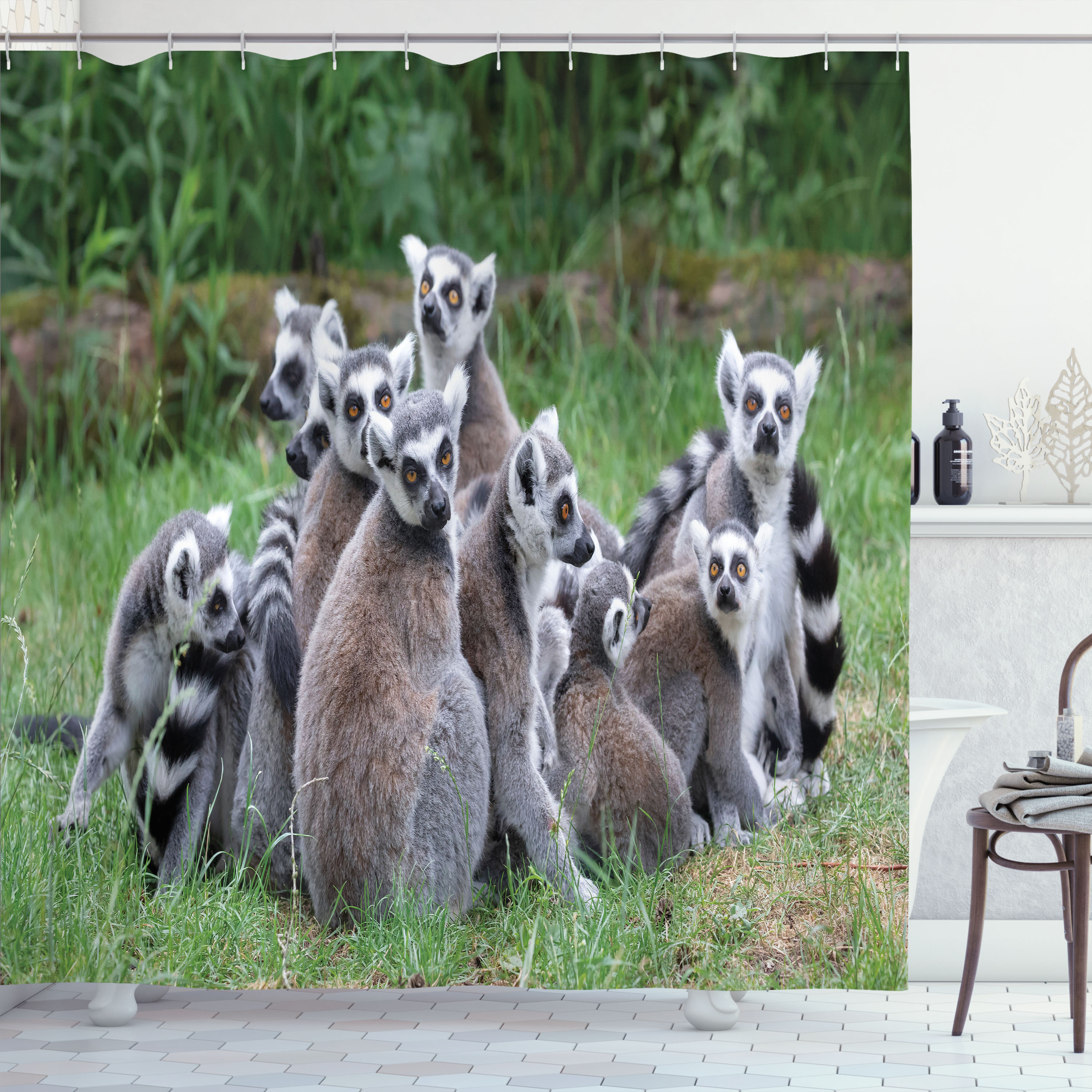 East Urban Home Lemur Shower Curtain Ring Tailed Madagascar Monkey Pale ...