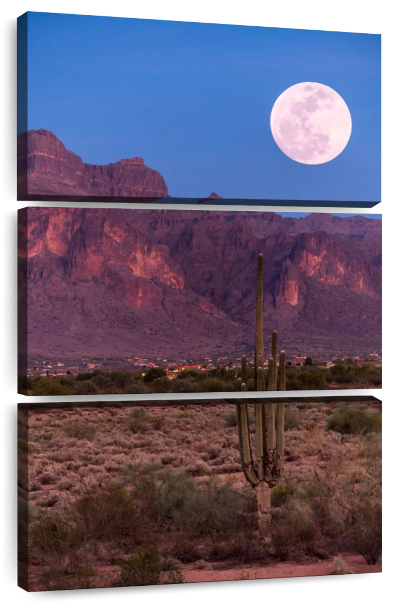 Millwood Pines Alvord Apache Junction Desert | Wayfair