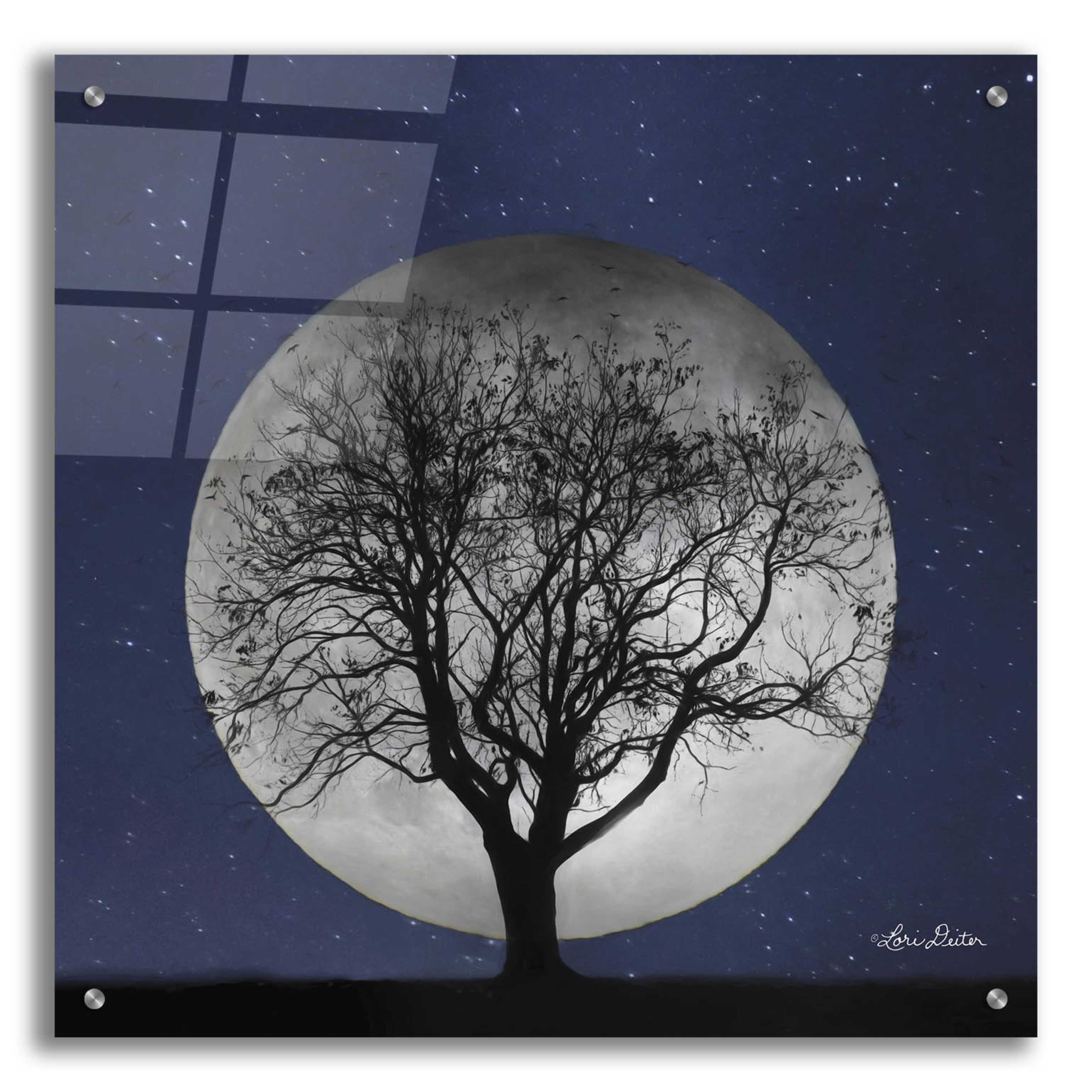 Latitude Run® Full Moon - Unframed Print | Wayfair