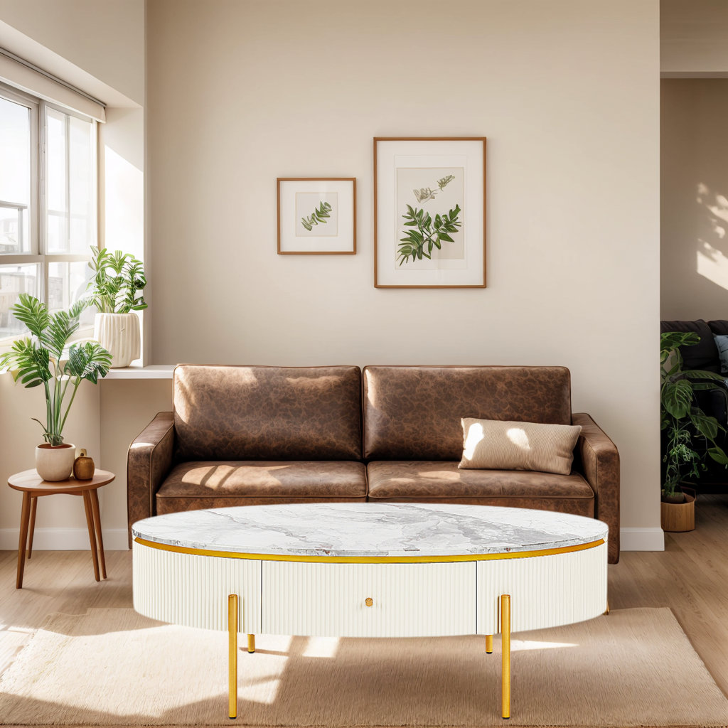 Mercer41 Oval Coffee Table With Two Drawers,Four Sturdy Metal Table ...