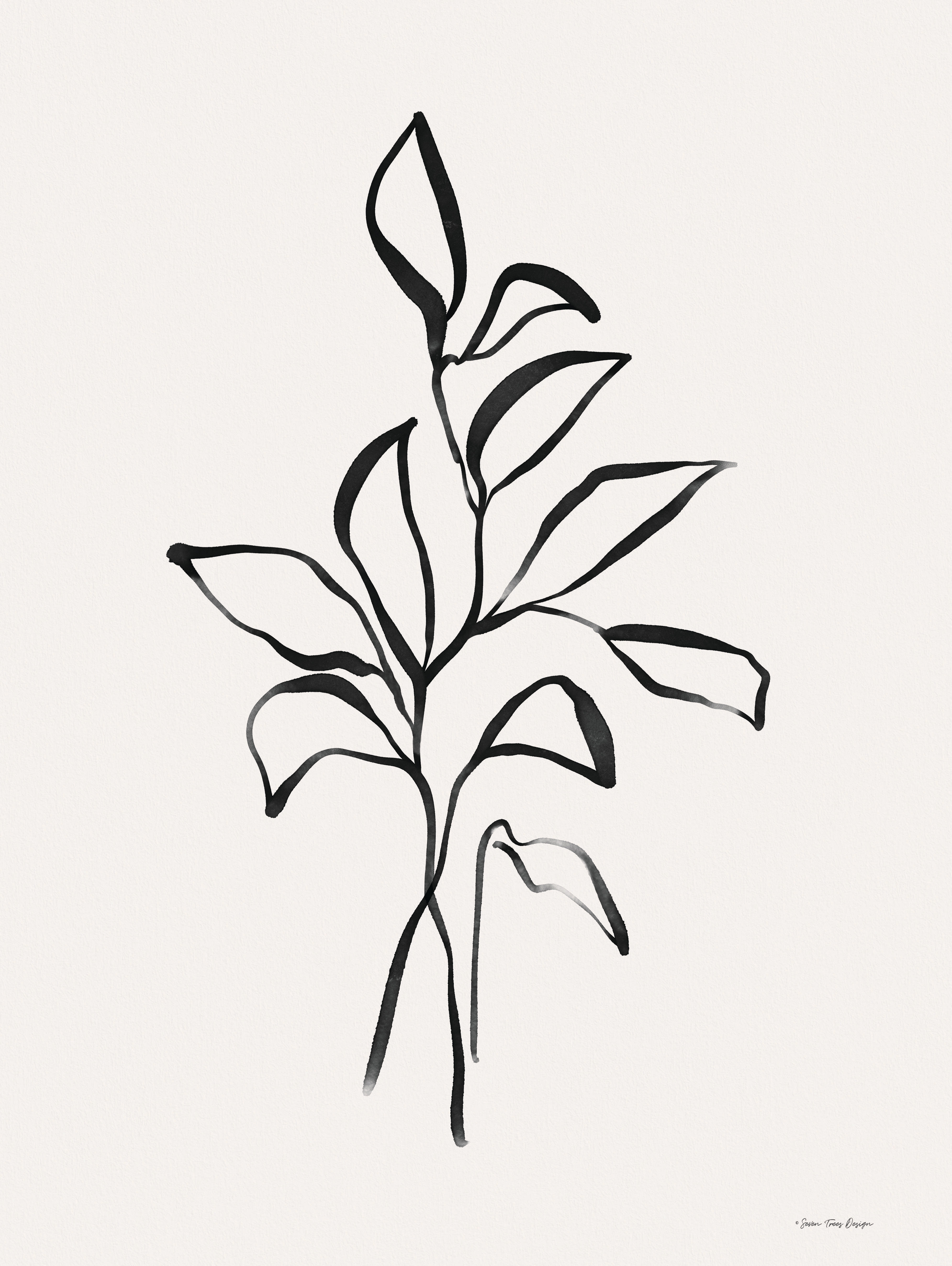 Winston Porter Eucalyptus Leaf Drawing by Seven Trees Design - Wayfair ...