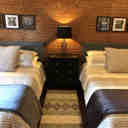 Latitude Run® Dewane Tufted Low Profile Platform Bed & Reviews | Wayfair