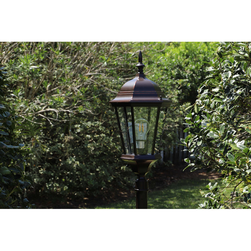 Alcott Hill® Balfour Falls Transparent Lamp Post (Full) & Reviews | Wayfair