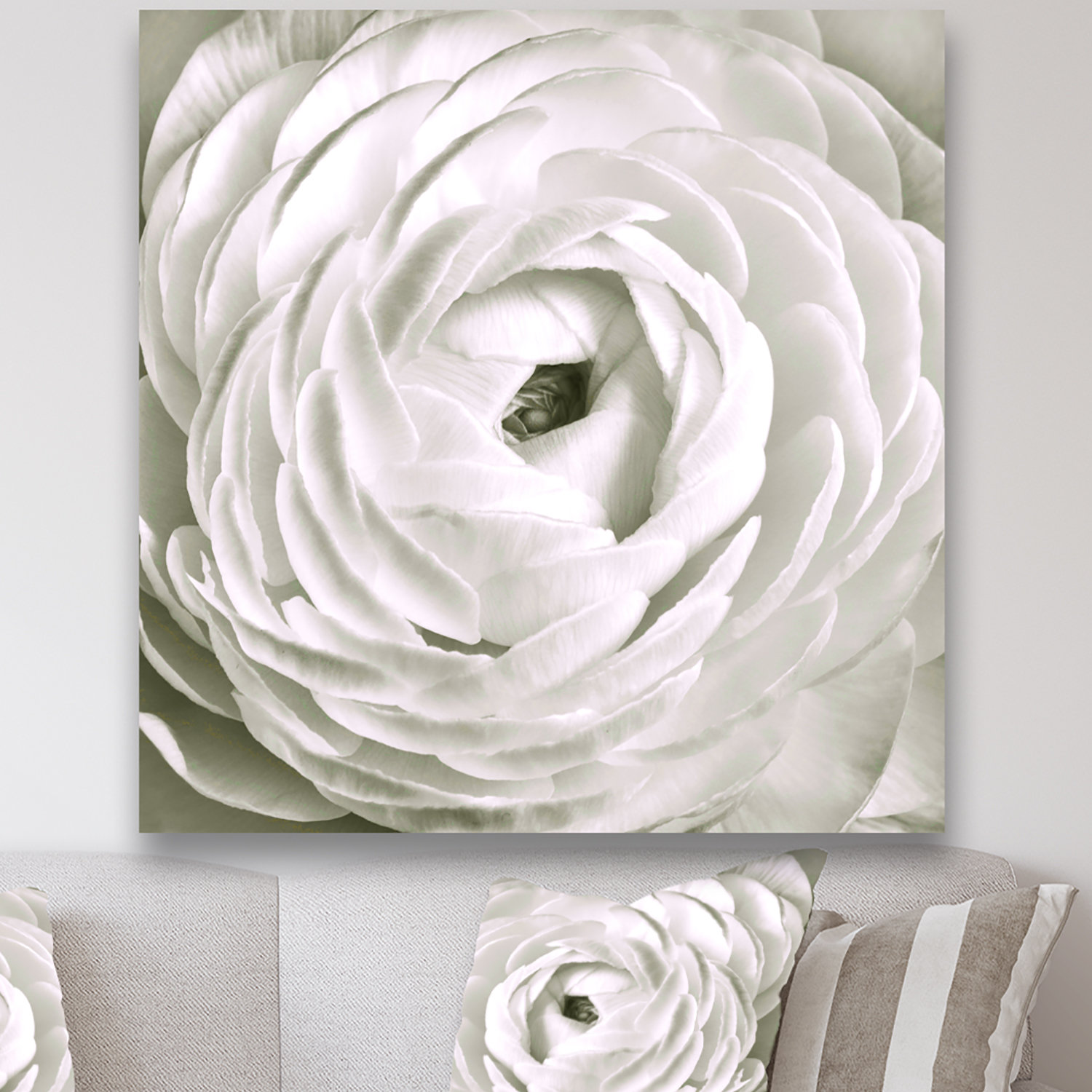 East Urban Home 'White Rannunculus Close Up' Painting Print on Canvas ...