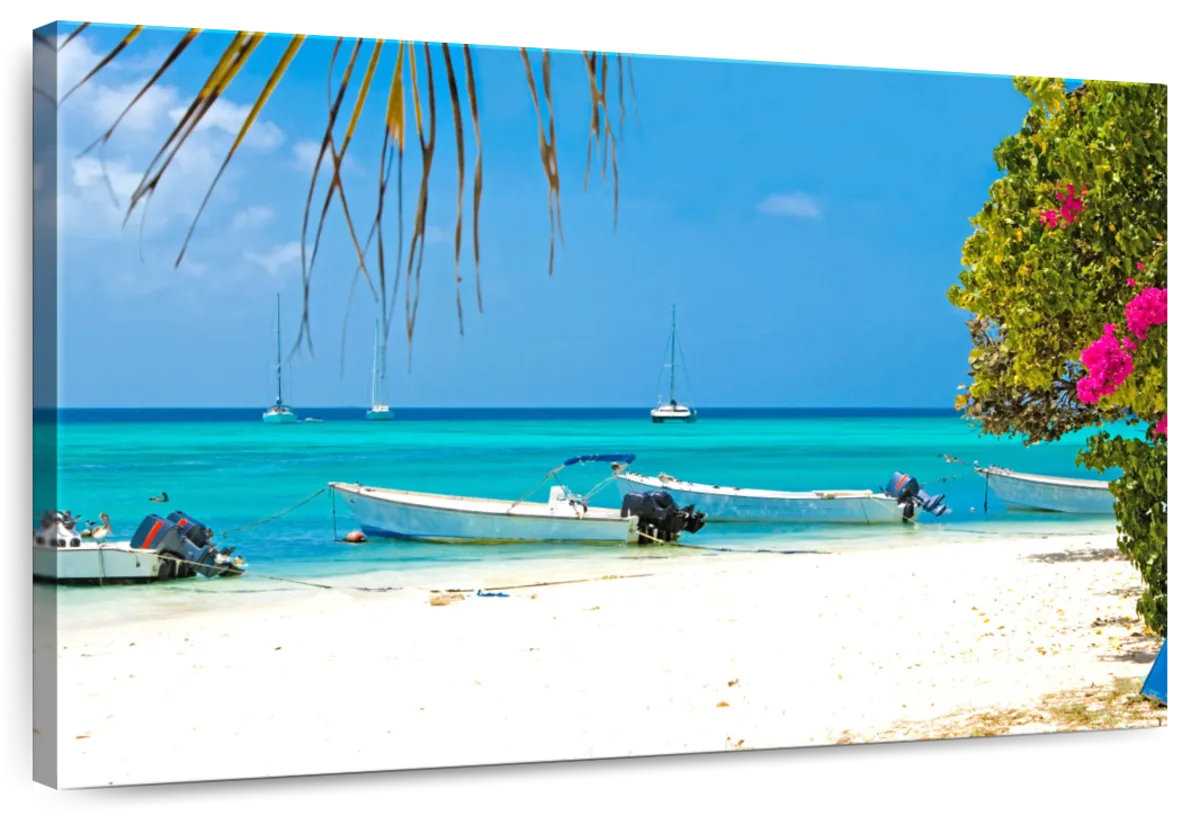 Elephant Stock Los Roques Beach Venezuela - Wayfair Canada