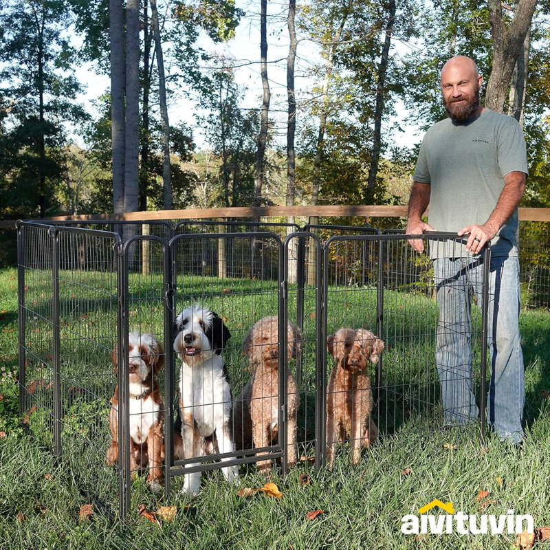 Aivituvin Metal Pet Pen & Reviews | Wayfair