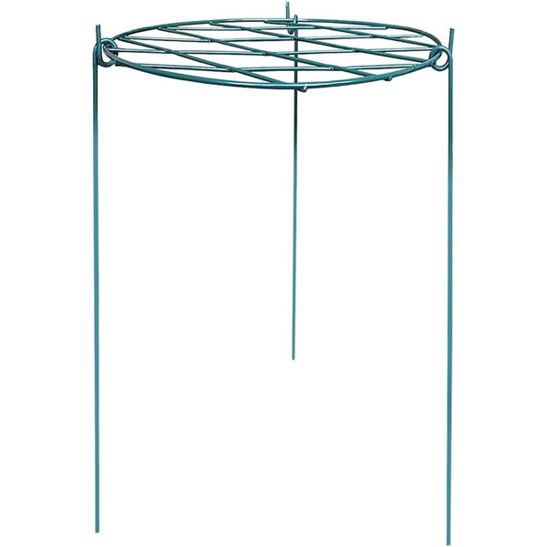 Dakota Fields Bartosz Plant Stand Ring Support Iron Round Plant Support ...