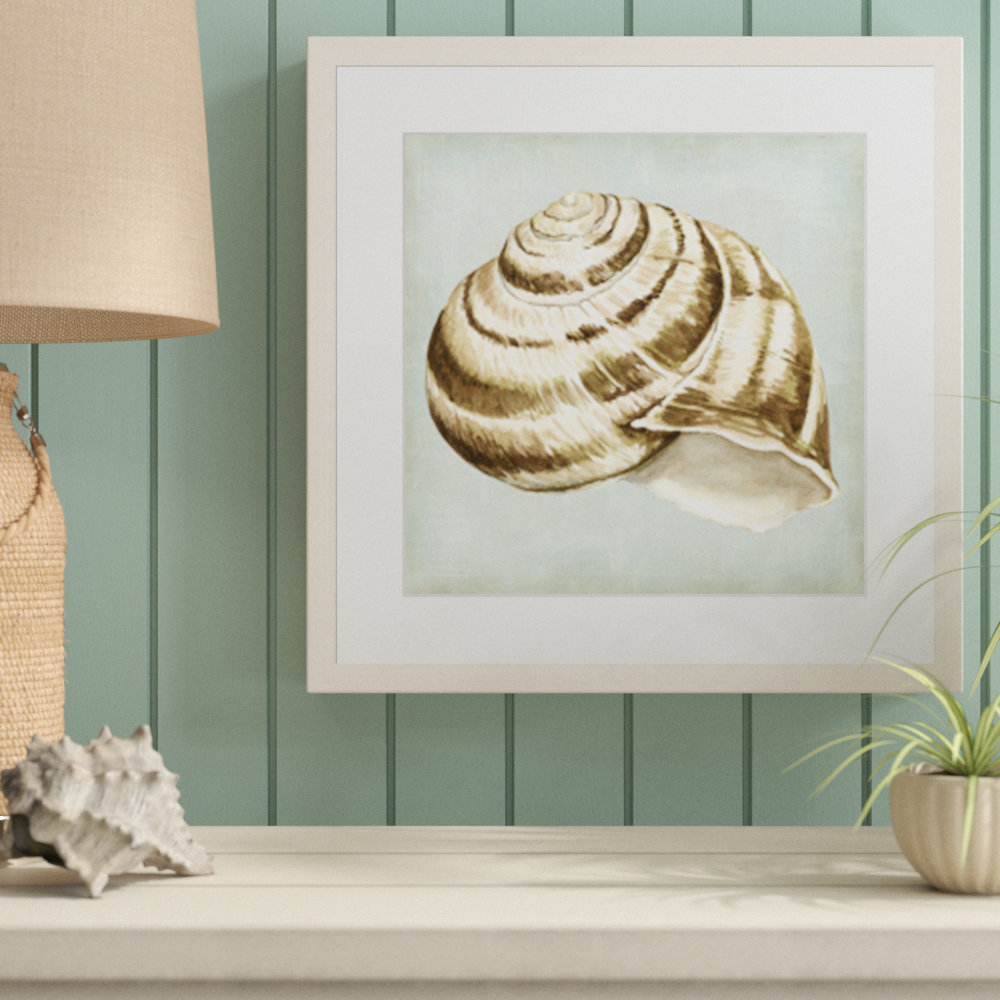 Highland Dunes 'Sea Dream Shells I' Framed Acrylic Painting Print ...