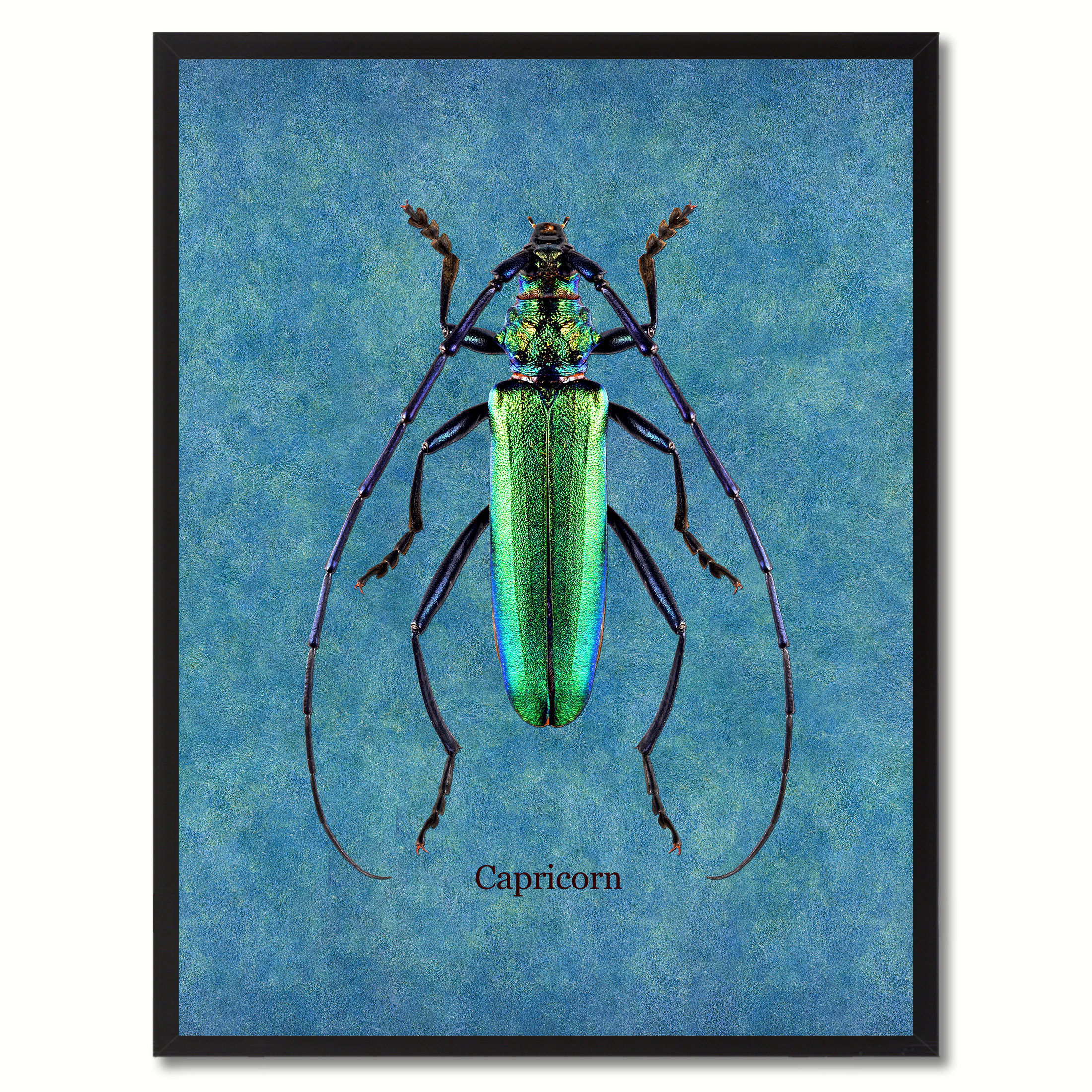 August Grove® Capricorn Animal Blue Print on Canvas with Picture Frame ...
