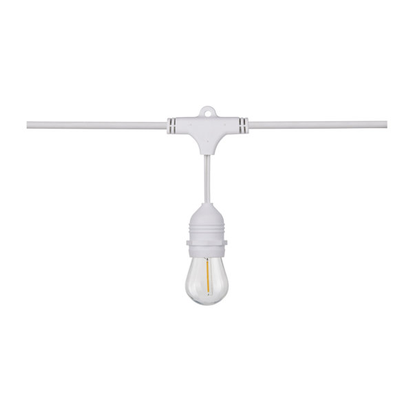 Arlmont & Co. Keelee 24Ft - LED String Light - Includes 12-S14 Bulbs ...