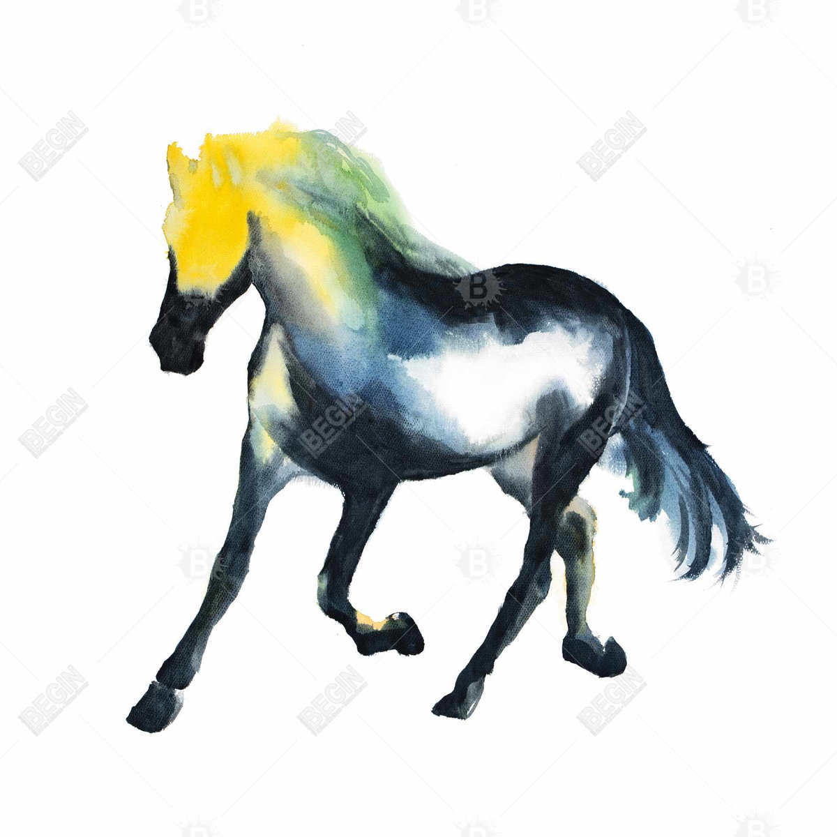 Begin Edition International Inc. Galloping Horse Square Pillow Cover ...