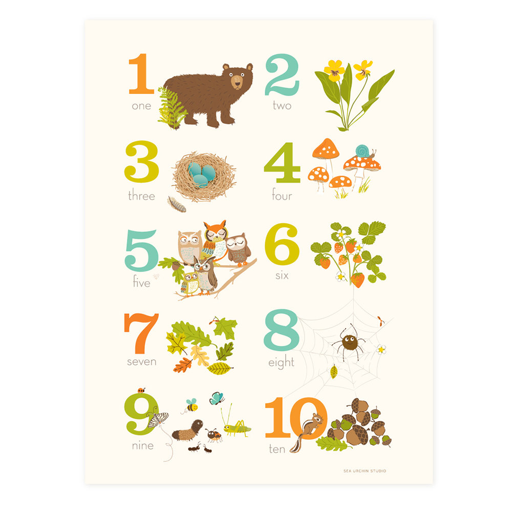 Sea Urchin Studio Woodland Forest Numbers Graphic Art | Wayfair