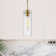 Wade Logan® Breckynn 1 - Light Single Drop Pendant Pendant | Wayfair