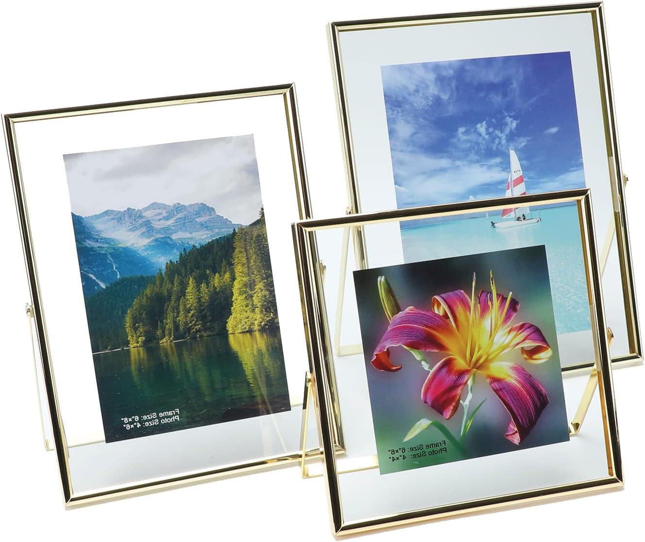 Mercer41 Randah Metal Shadow Box Picture Frame | Wayfair