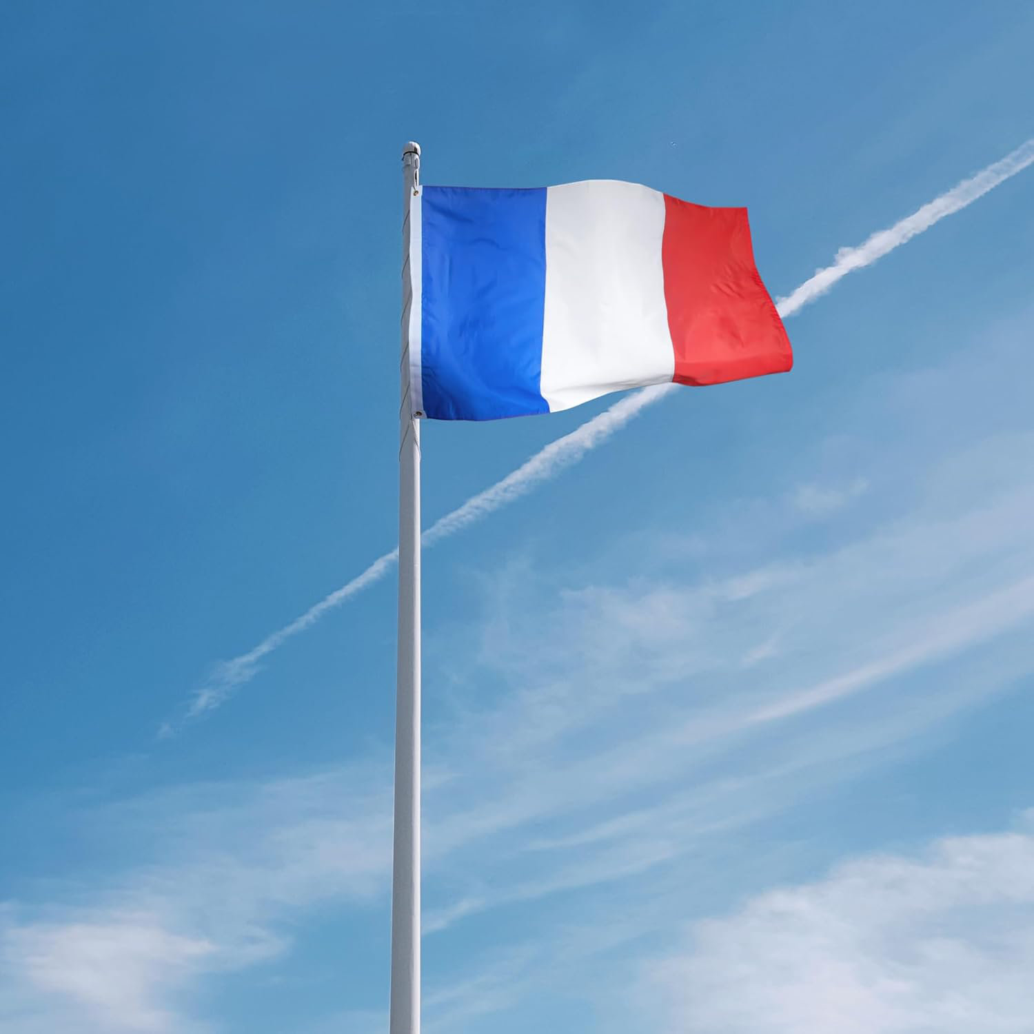 Astoria Grand 36"H X 60"W Embroidered France Flag Nylon House Flag ...