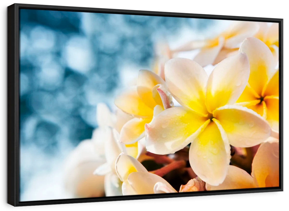 Ebern Designs Frangipani Canvas Print | Wayfair