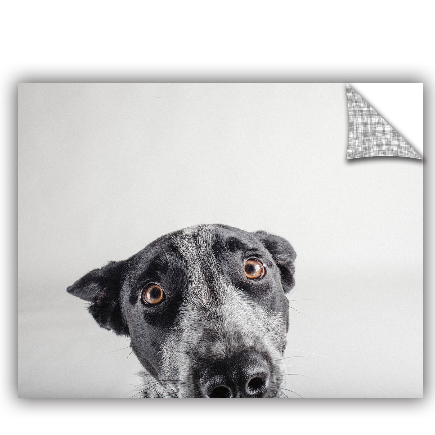 ArtWall Susan Sabo Blue Zuck Removable Wall Decal | Wayfair