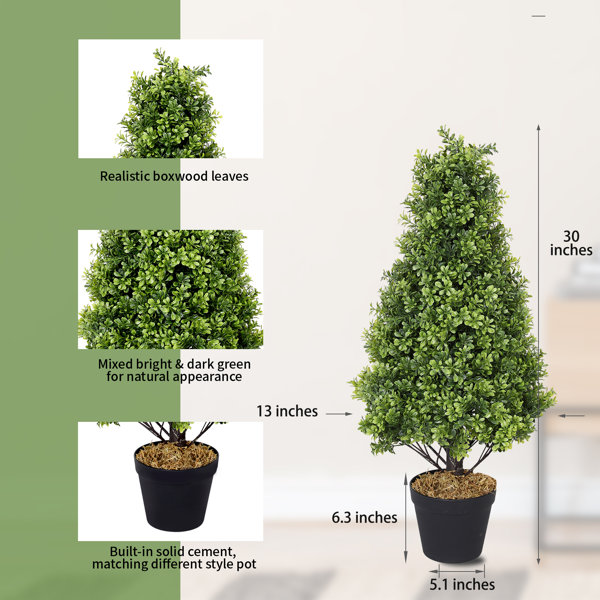 Primrue Artificial Cone-Shaped Boxwood Topiary Tree Front Porch Decor ...