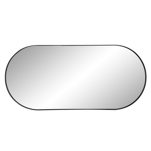 Latitude Run® Capsule Mirror In Brushed Silver | Wayfair
