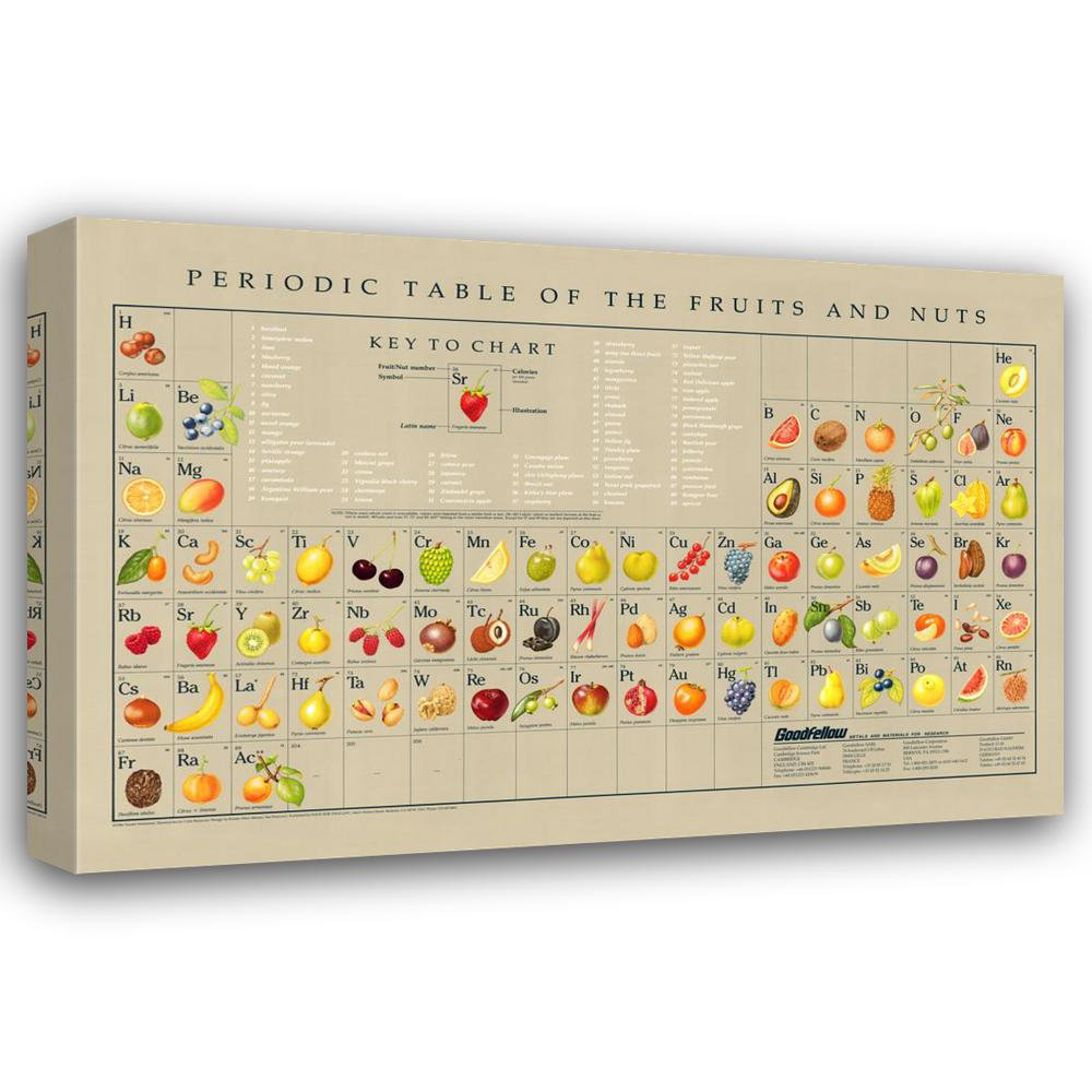 Latitude Run® Periodic Table of Fruits and Nuts | Wayfair