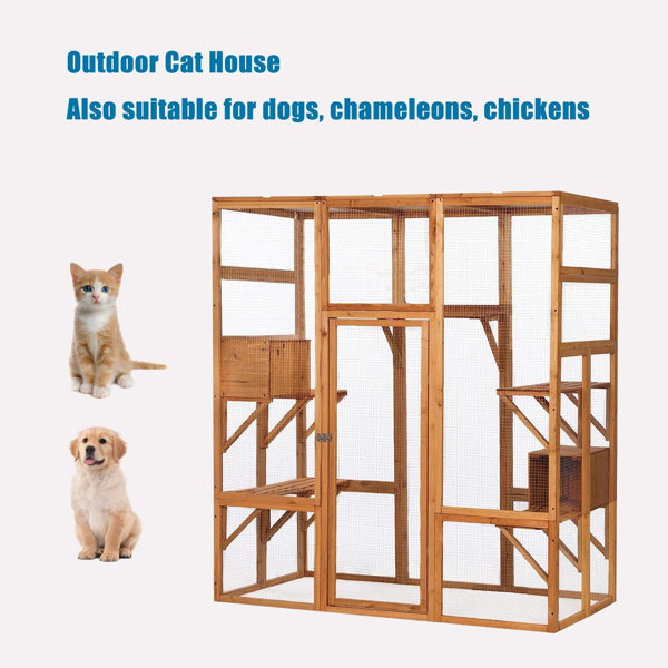 Tucker Murphy Pet™ Elgina 70in Outdoor Cat House, Cage Walk in Cat ...