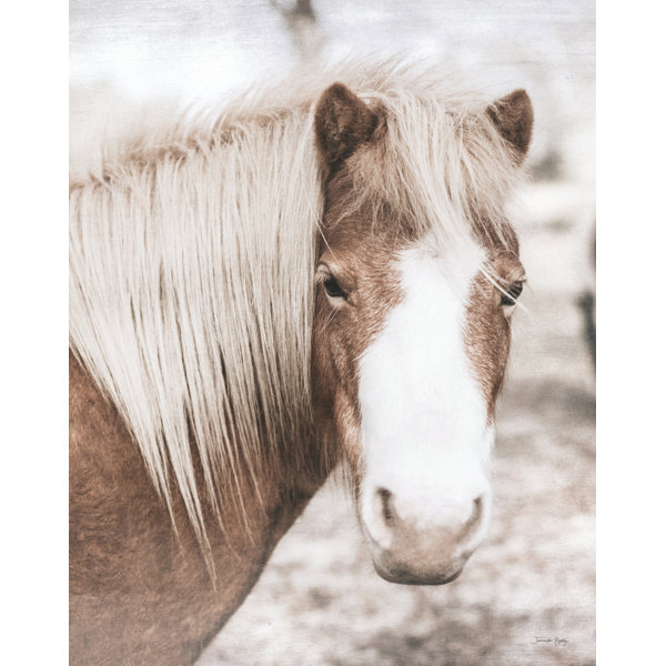 Millwood Pines Turnbridge Honey the Pony by Jennifer Rigsby - Wrapped ...