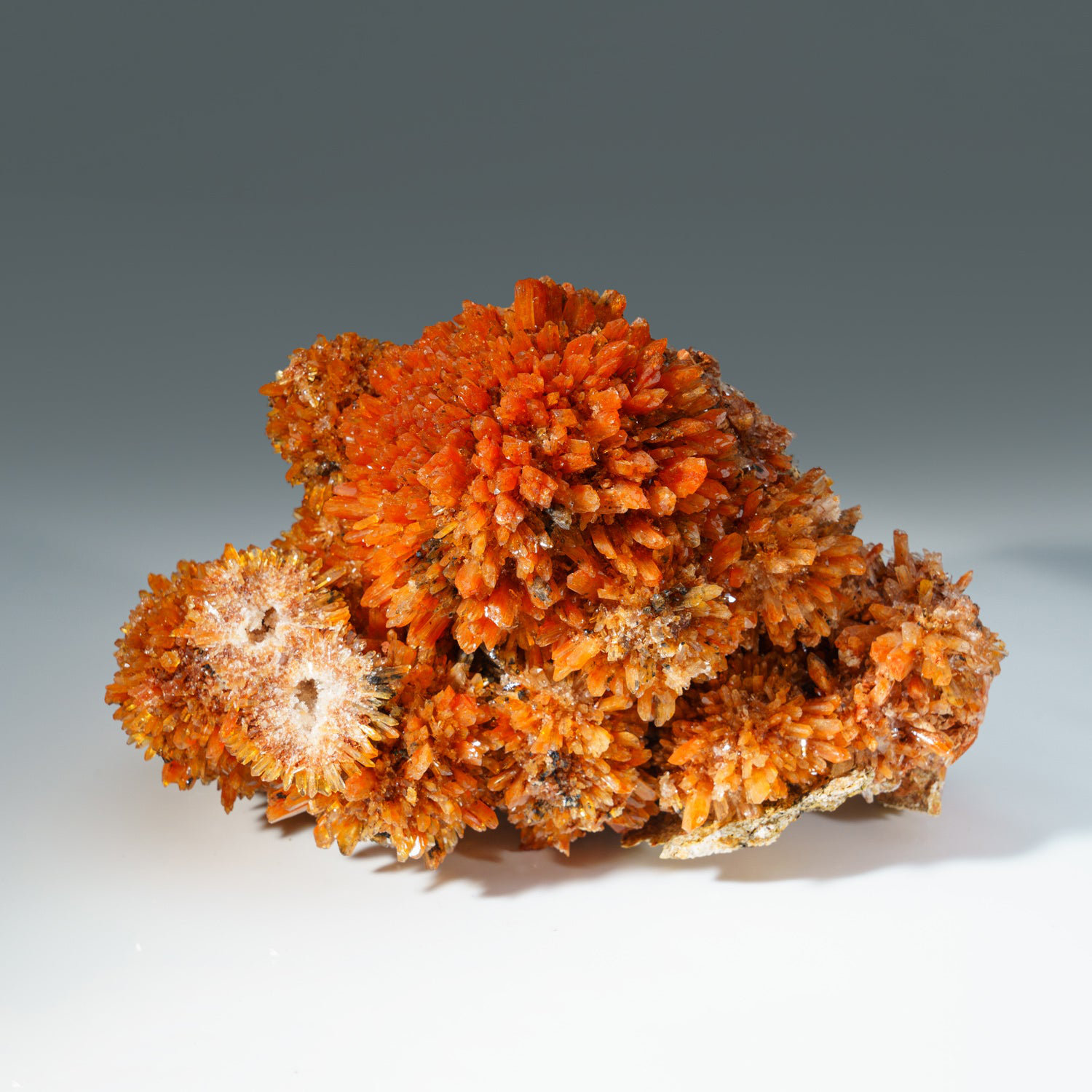 Astro Gallery of Gems Creedite from Mina Navidad, 19 Km Northwest of ...