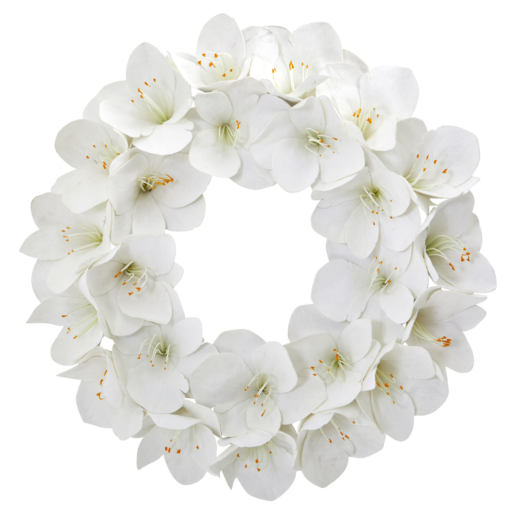 Bay Isle Home™ 24" Plastic Wreath | Wayfair