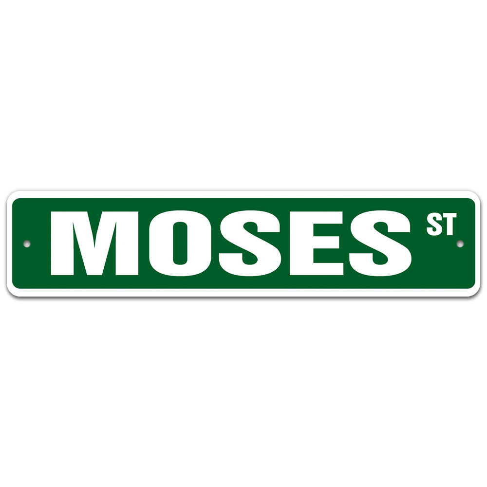 Trinx MOSES Aluminum Street Sign Childrens Name Room Metal Sign ...