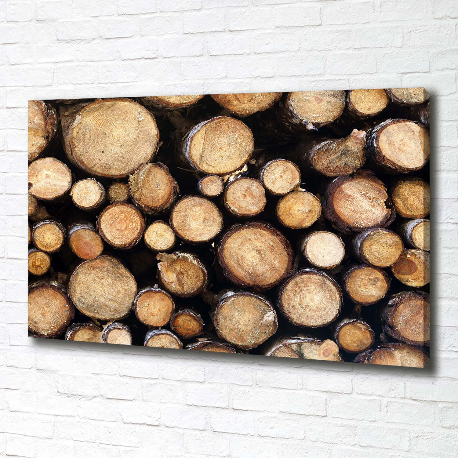 Brayden Studio Logs of Wood - Unframed Art Prints on Canvas | Wayfair.co.uk
