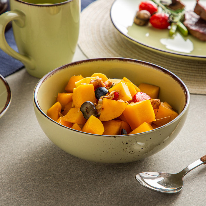 Union Rustic Aagman 16 Piece Stoneware Dinnerware Set - Service for 4 ...