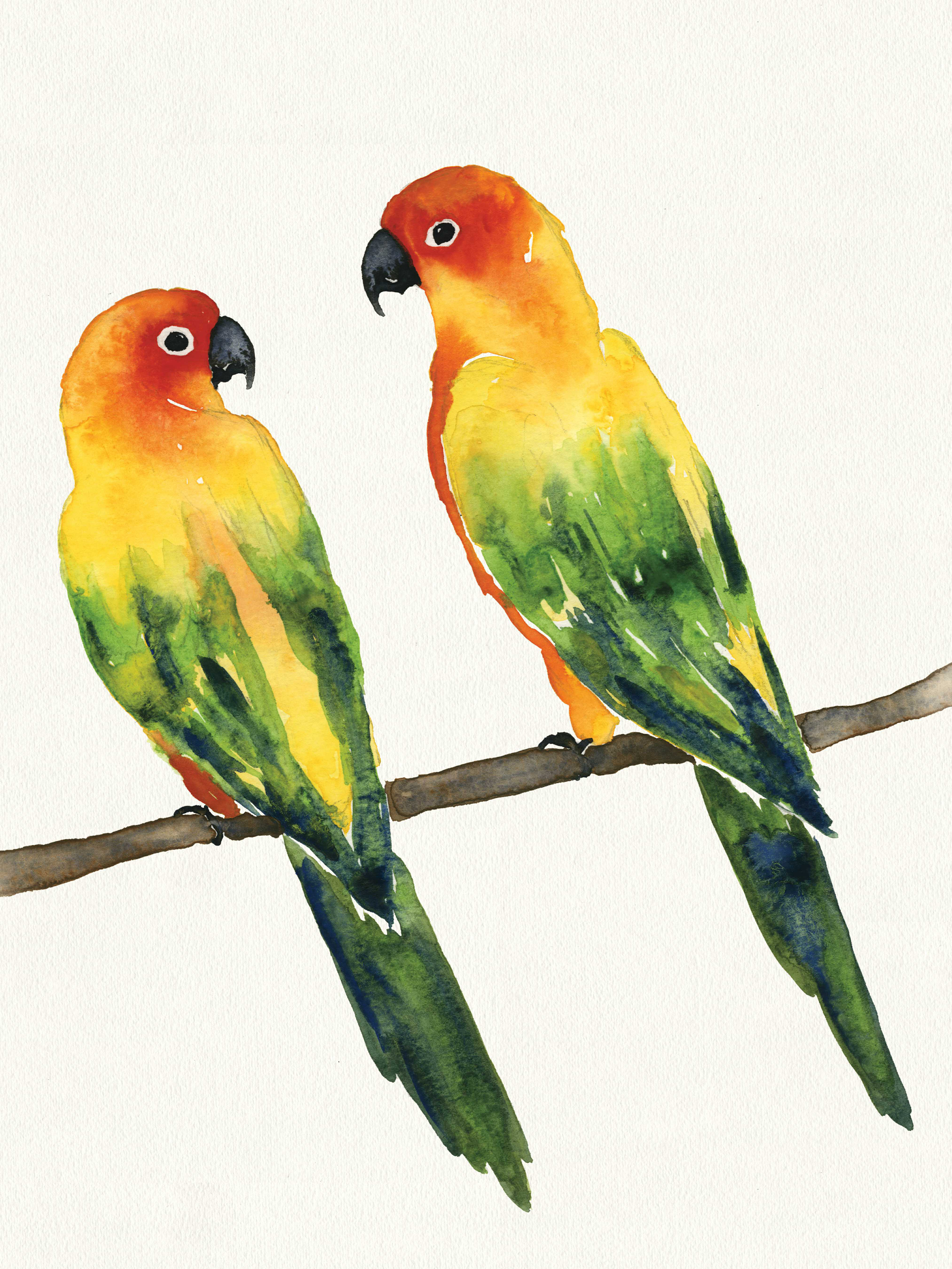 Bayou Breeze Tropical Fun Bird Crop - Wrapped Canvas Print | Wayfair