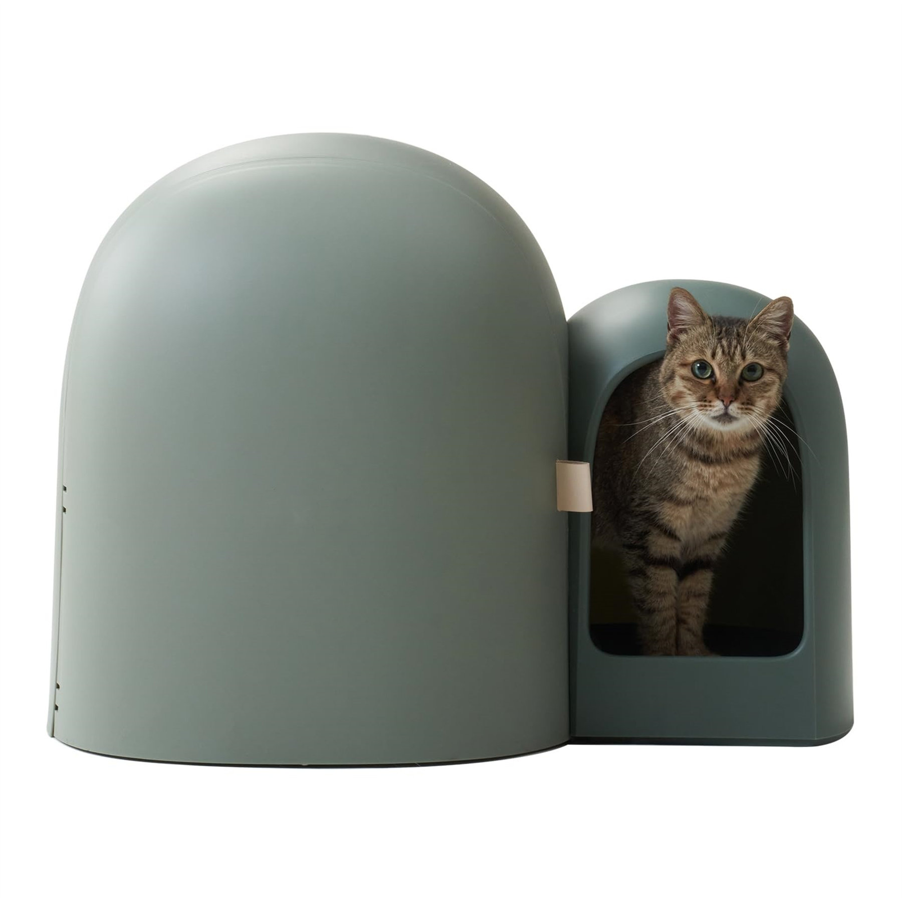 Tucker Murphy Pet™ Closed Cat Litter Box With Scoop, Moss Green | Wayfair