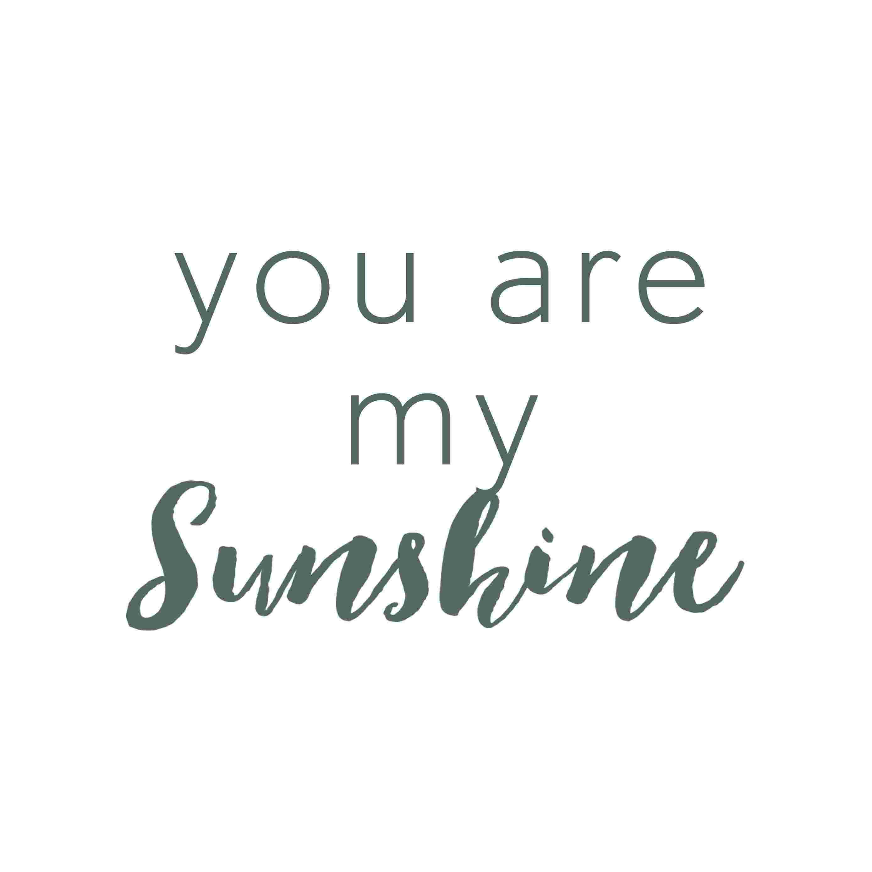 Trinx You Are My Sunshine Simple Script | Wayfair