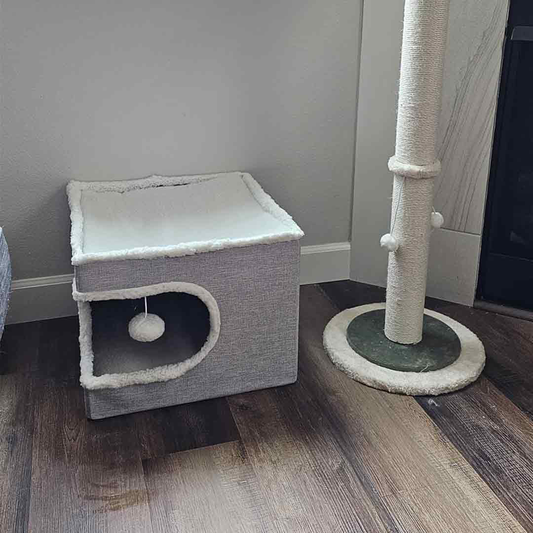 Tucker Murphy Pet™ Lit pour chat pour chat intérieur, maison pour chat ...