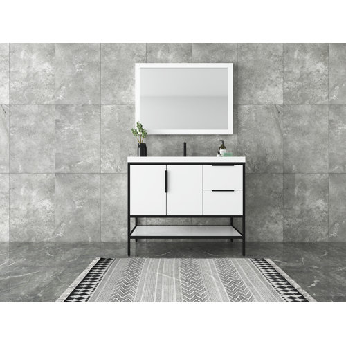 Brayden Studio® Lilly-Grace 42.19'' Single Bathroom Vanity with Plastic ...