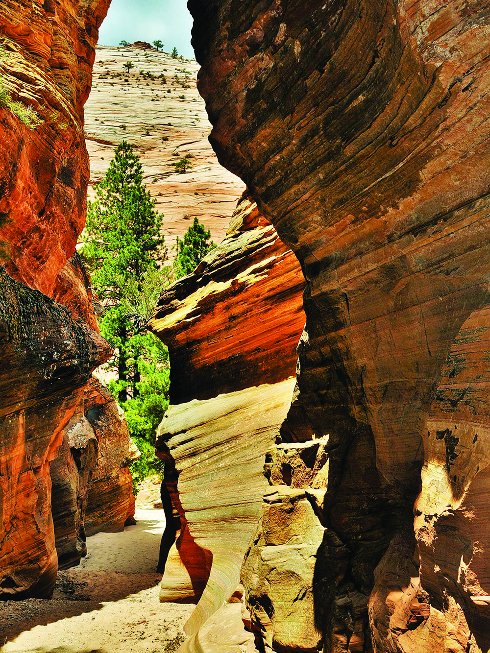 Buy Art For Less Zion Canyon by Joseph Elliot - Photograph Print ...