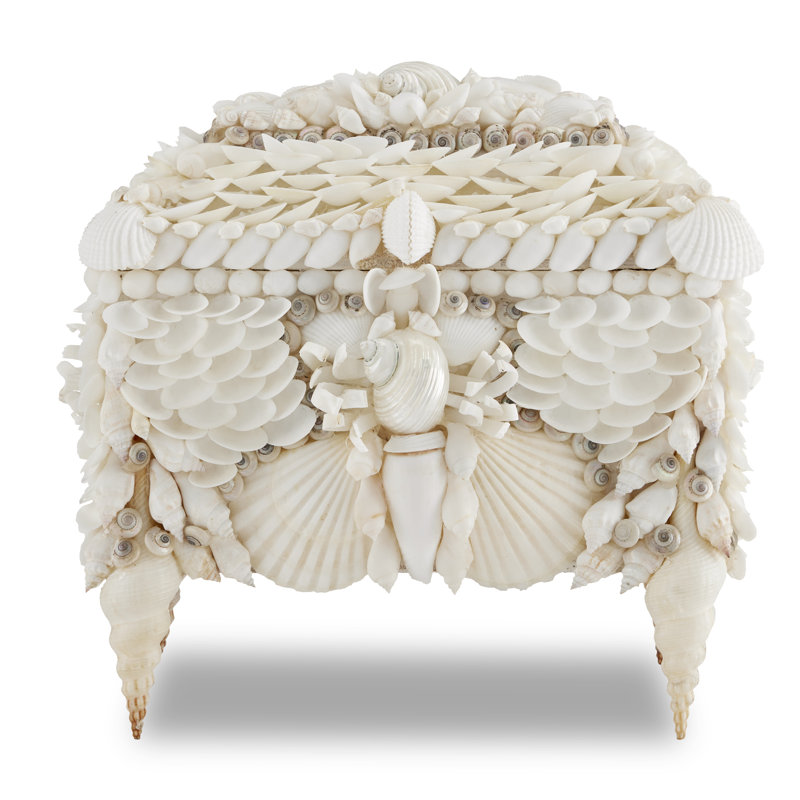 Currey & Company Boardwalk Shell Jewelry Box | Perigold