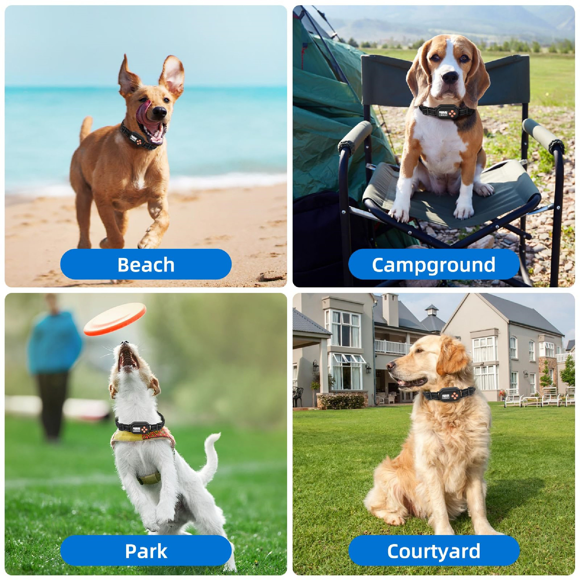 CHAIREZ GPS Wireless Dog Fence With AI-Powered Correction Modes & IPX6 ...