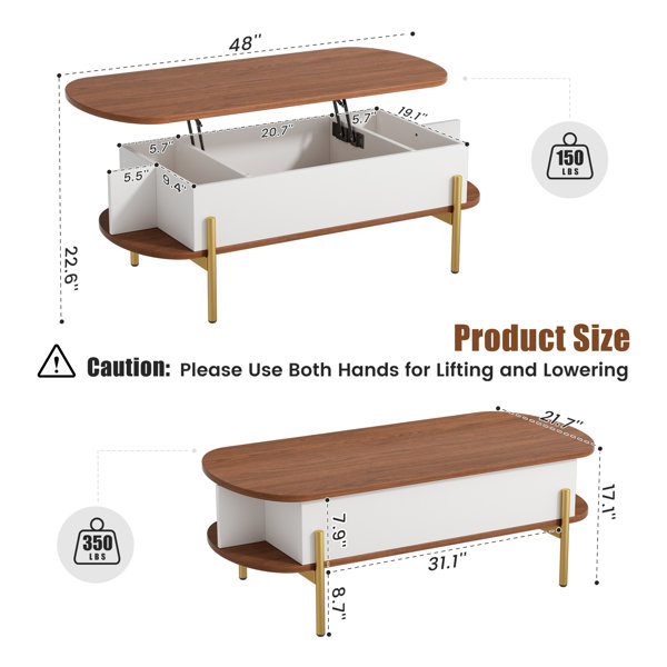 Mercer41 Molter 48" Oval Lift Top Coffee Table With Storage Open Shelf ...