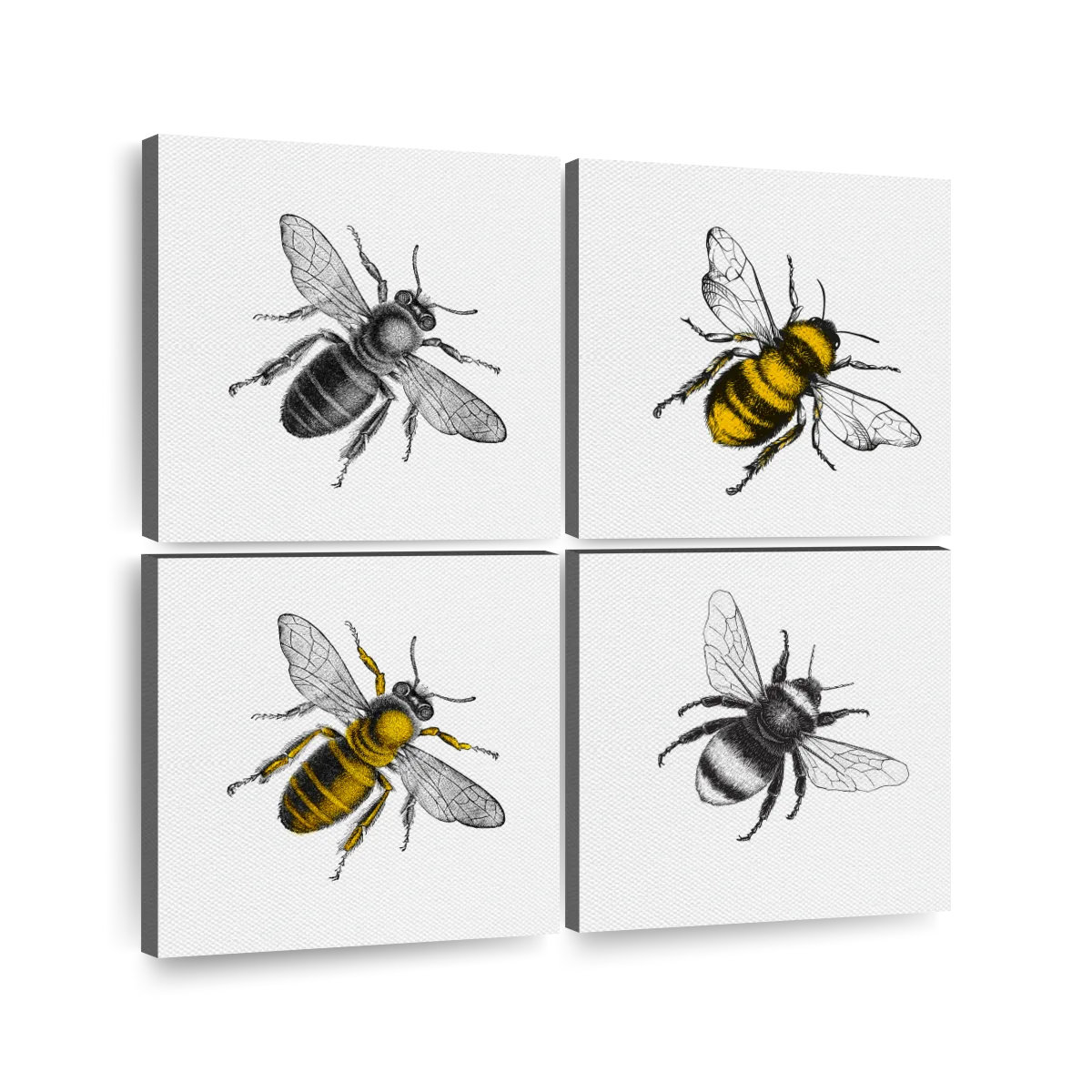 August Grove® Four Bees Multi Piece Canvas Print | Wayfair