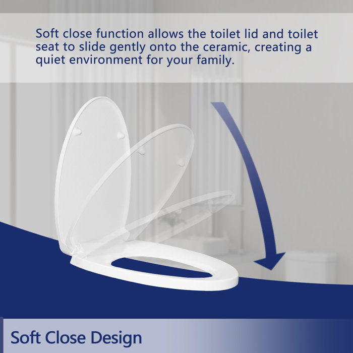 DeerValley Quick-Release Soft-Close Elongated Toilet Seat & Reviews ...